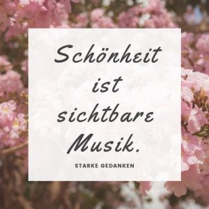 Schöne Sprüche: 300 der schönsten Sprüche, die dir den Tag verzaubern